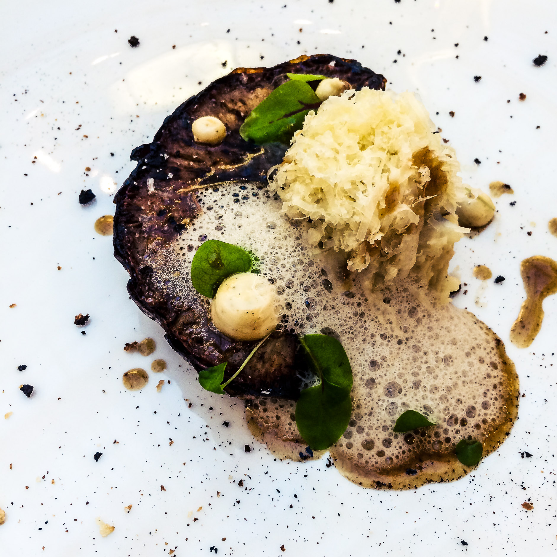 Celeste (Now Closed) – Palate Magazine