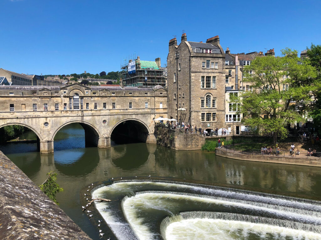 The UK’s Best Organic Vineyards – Palate Magazine