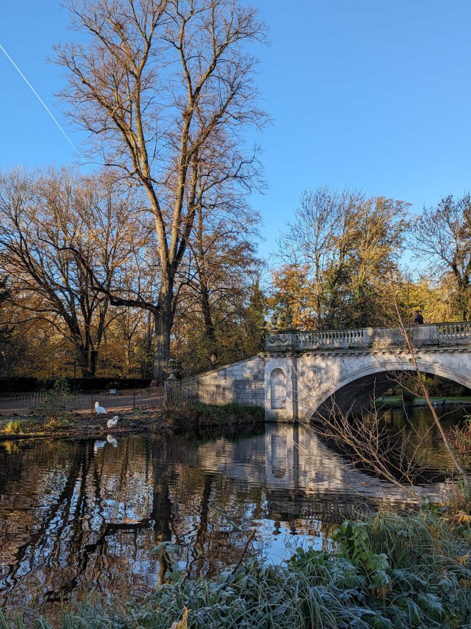 Palate’s Guide to Chiswick – Palate Magazine
